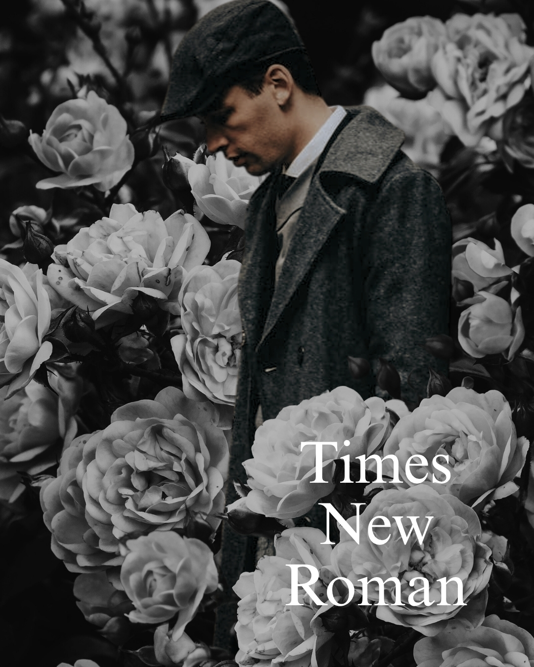 IN FONT WE TRUST: Times New Roman - Megan Prior
